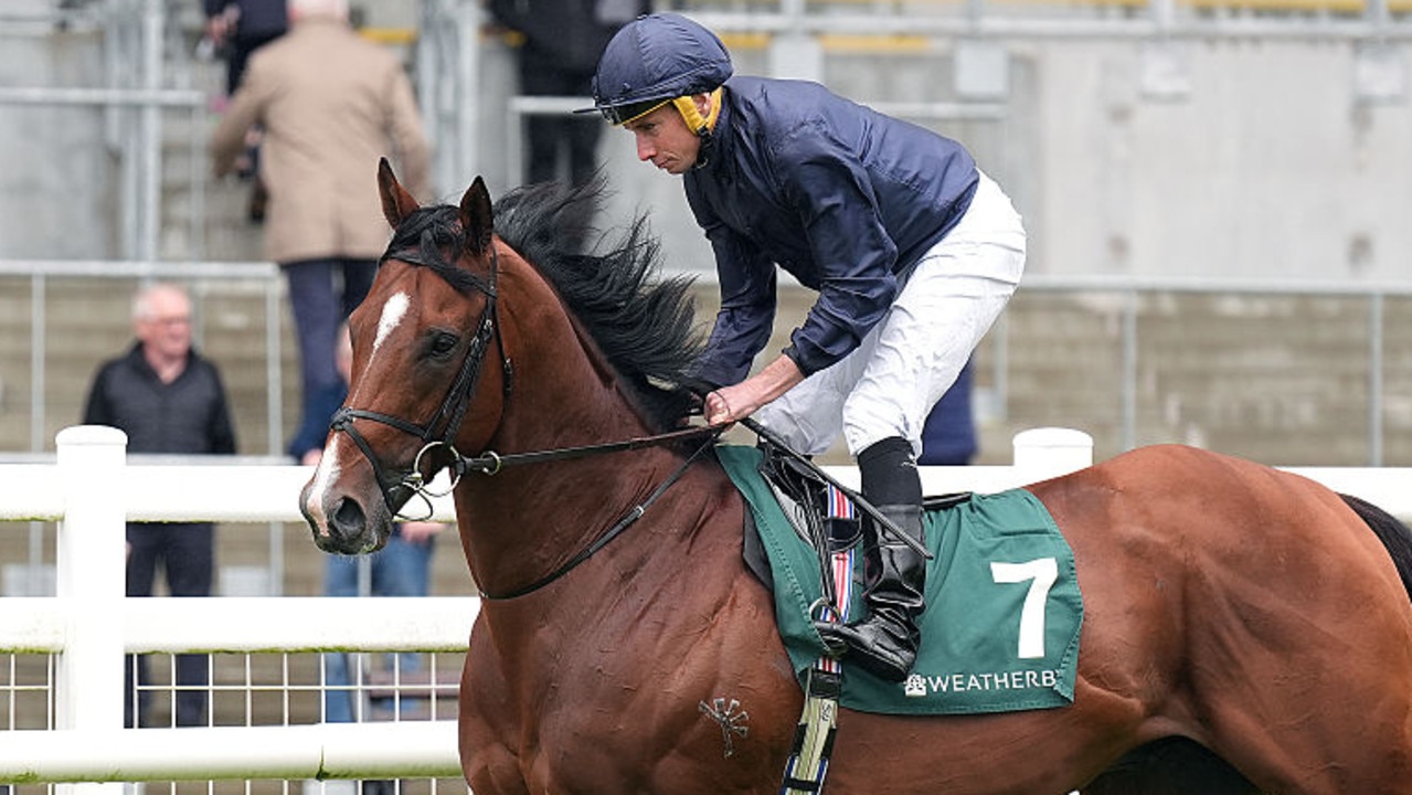 Coolmore backs trainer Aidan O'Brien to have Storm Boy at his best for ...