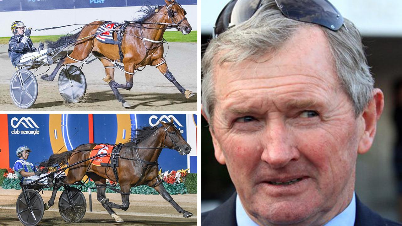 Hawkes harnesses his love for the trots - Racenet