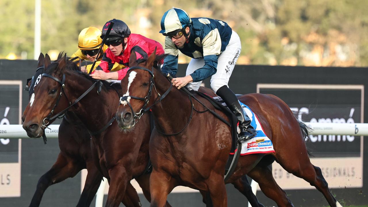 Sir Lucan defies odds to secure second Winter Cup at Rosehill