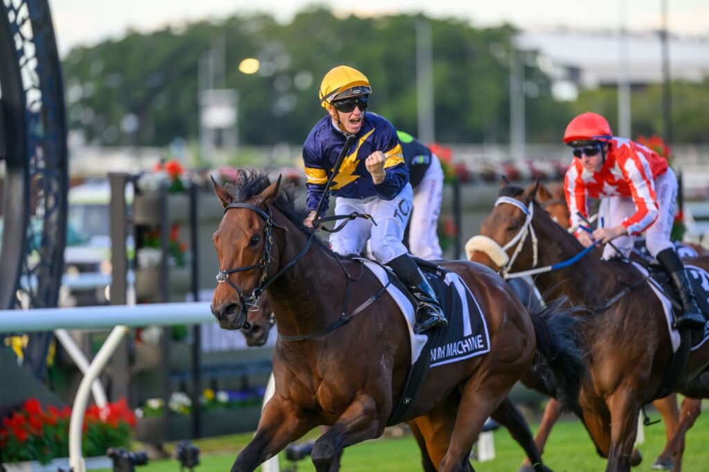 Stradbroke Handicap 2026 | Tips, Odds, Field & Results | Racenet