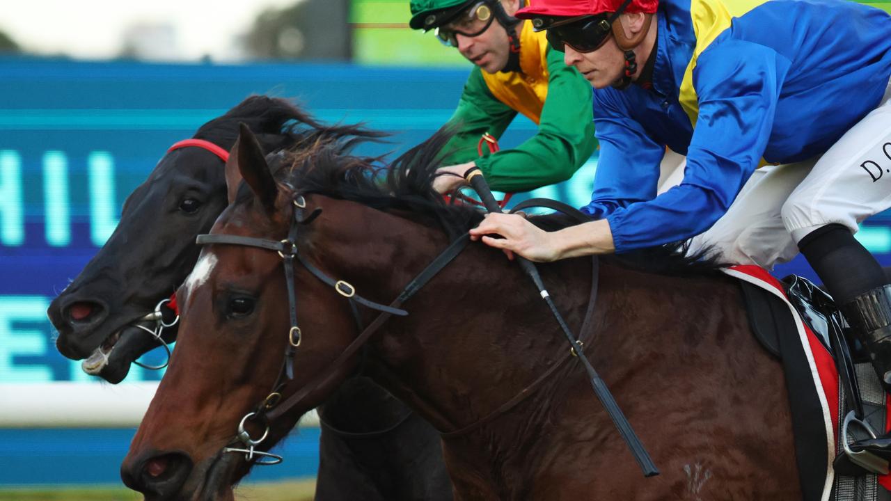 Form jockeys handed careless riding suspensions