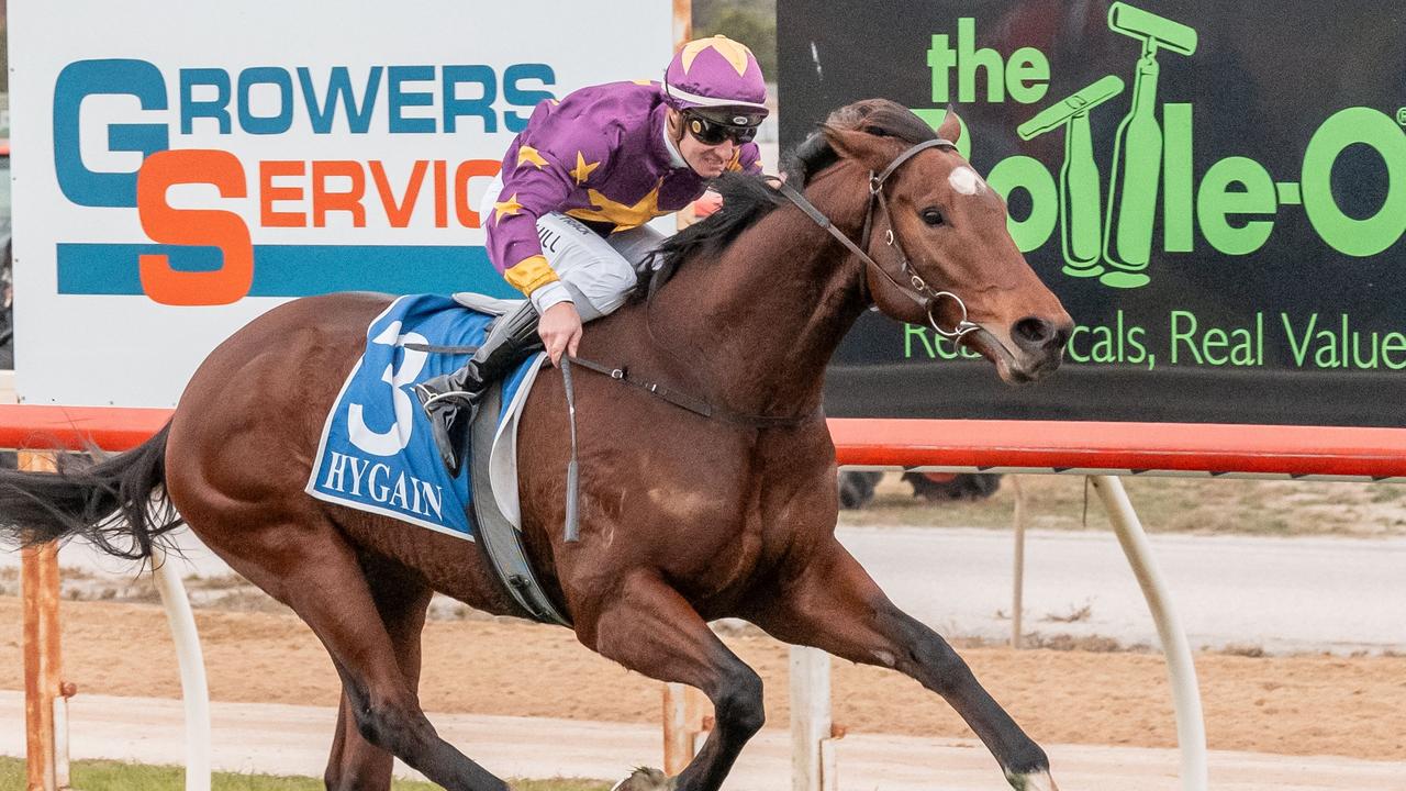 Dartboard chasing fifth win for trainer Brady Cross after 19 starts ...