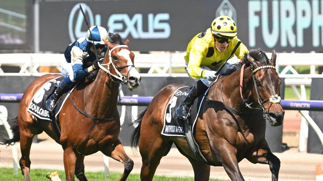 Racing Victoria finalises 2025 Spring Carnival vet rules for ...