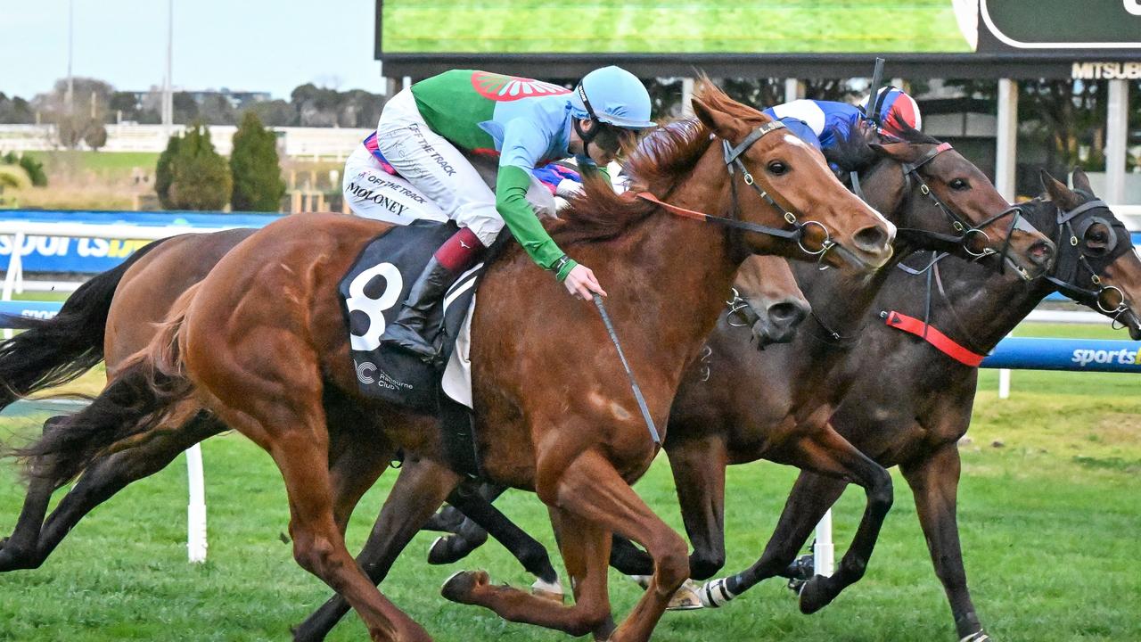 Yellow Sam charges home to win at Caulfield and earn crack at Group 3 ...