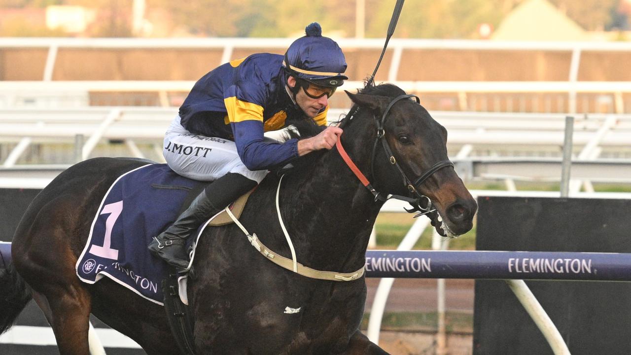 Simpcity imviolet dove in for a brief shower, provided