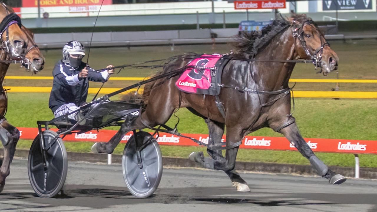 Danii banks and jmac great k girl that will take excellent