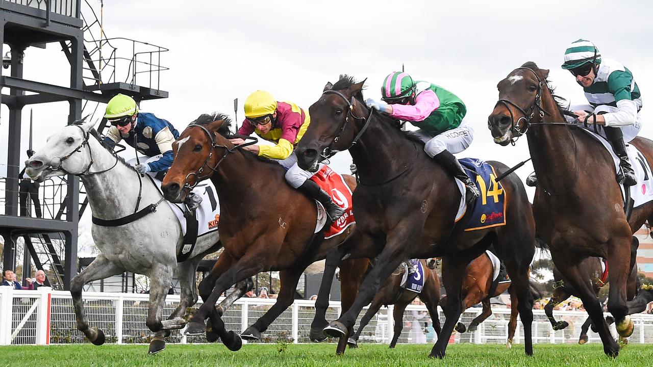 NZTR Board and Staff Please Read - Thoroughbred Cafe - RaceCafe NZ's ...