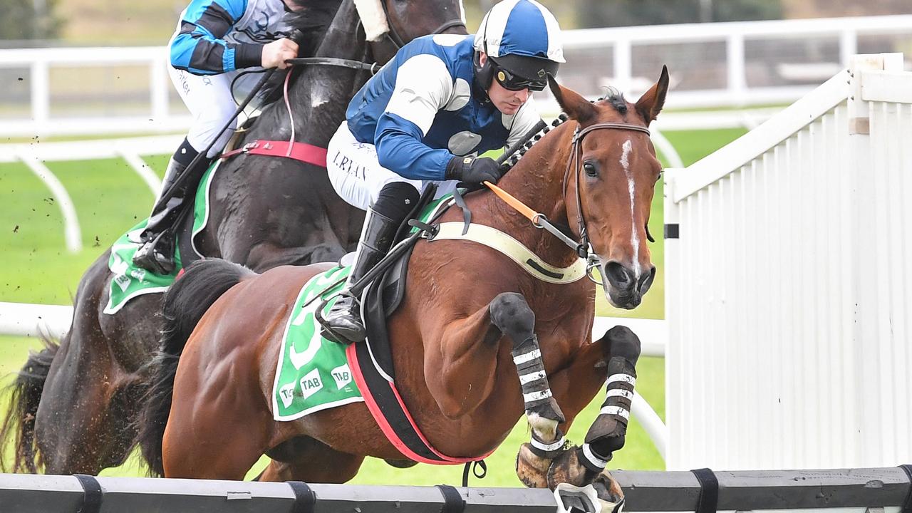 Mooshroomqueen nude leak that lady knows how to a superb