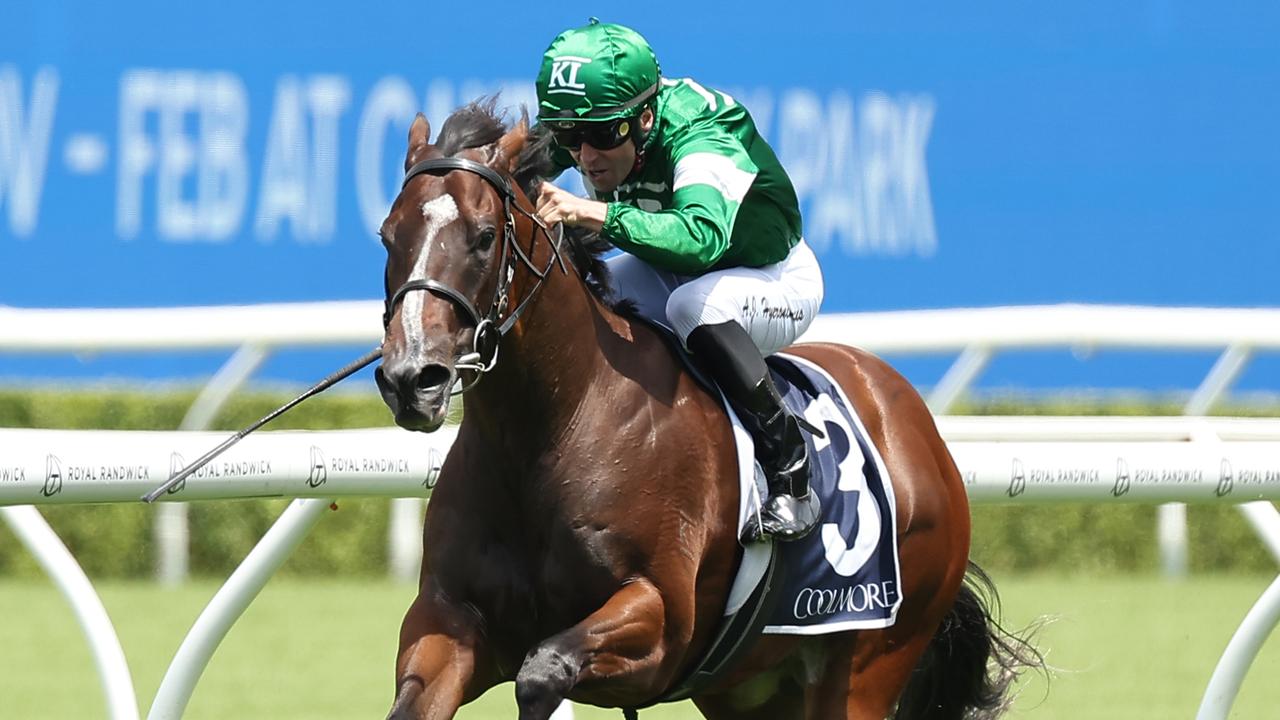 ‘Looks like a bull now': Trainer aiming high with Shaggy in the spring