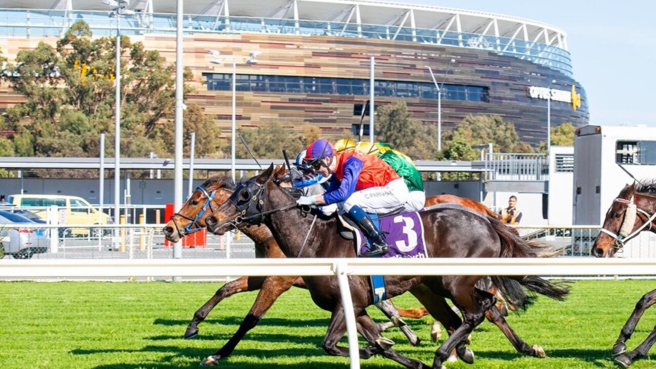 Mamuchis telegram the winter season is fantastic, found her