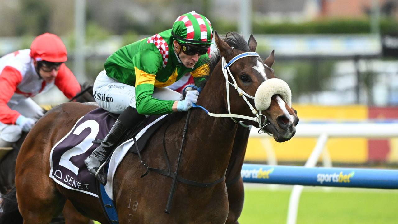 Peter Moody says immature filly Ole Dancer ‘has the quality' for spring ...