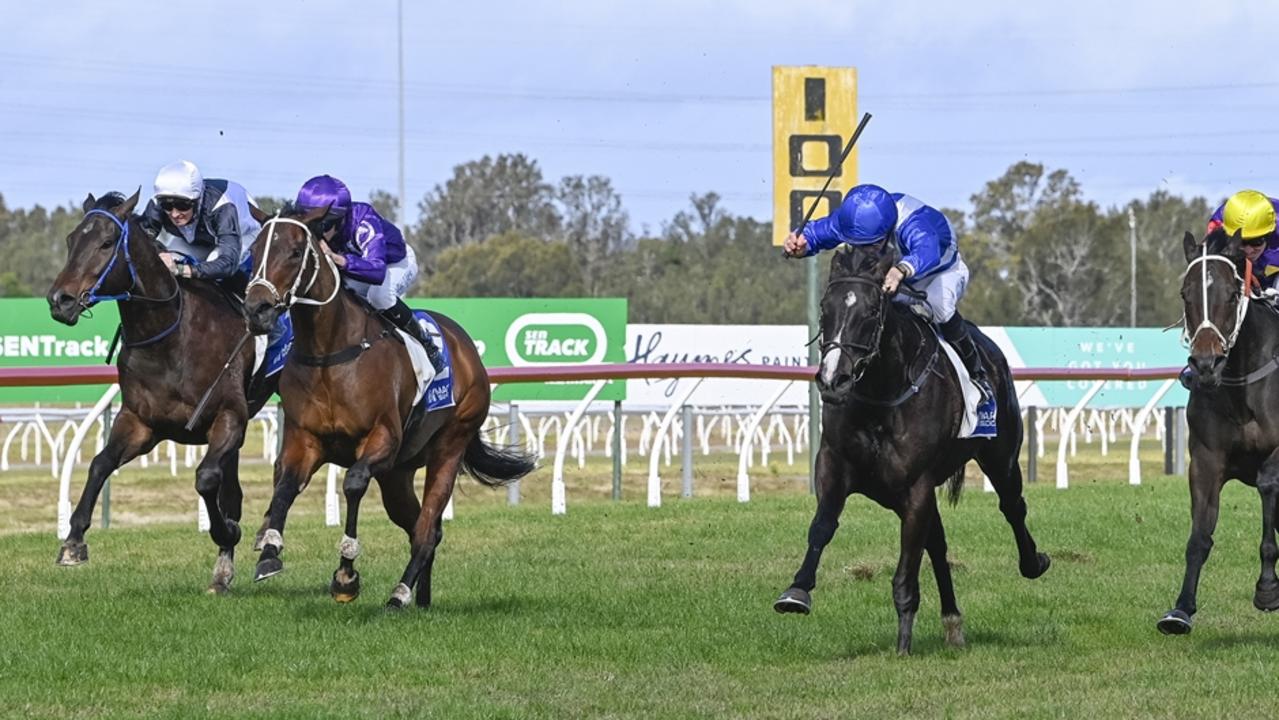 Kembla preview: Son of Victoria Derby winner aiming to win for cousin ...