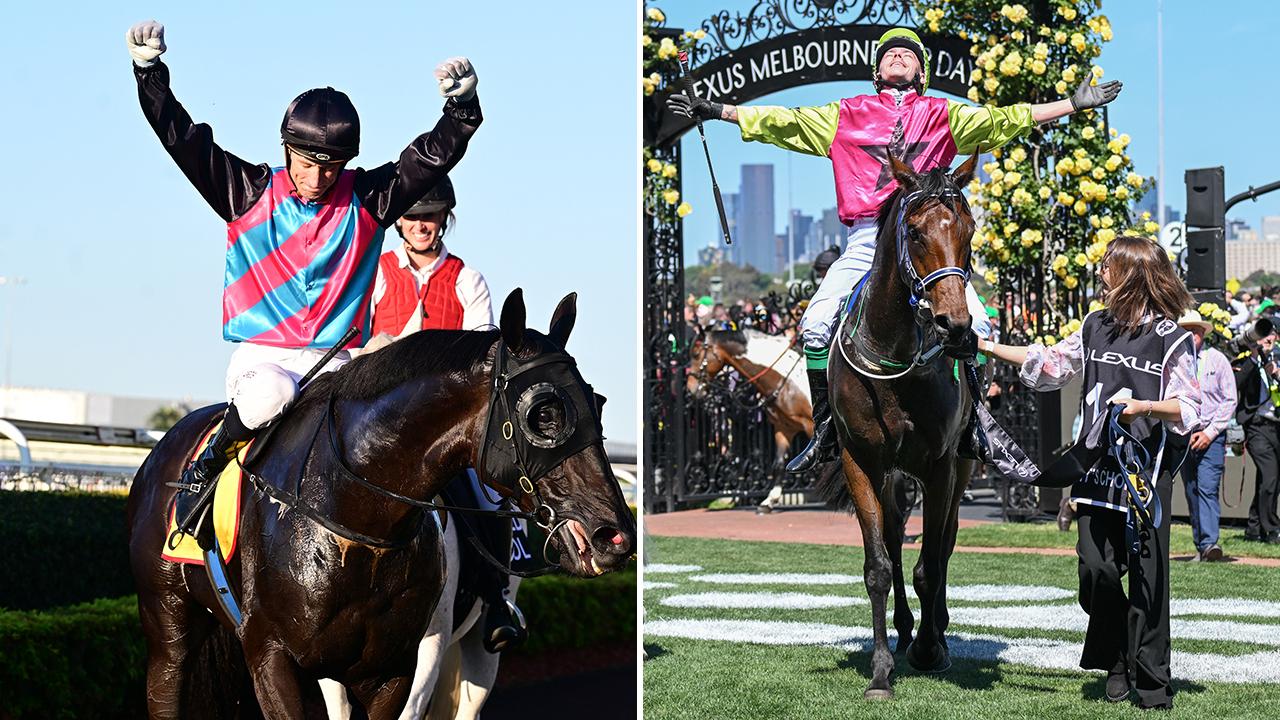 2025 Cox Plate: Knight's Choice, Antino on collision course