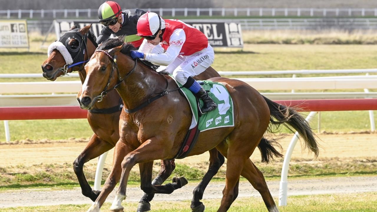Goulburn, Tuncurry previews: Seib's stable stars ready to shine - Racenet