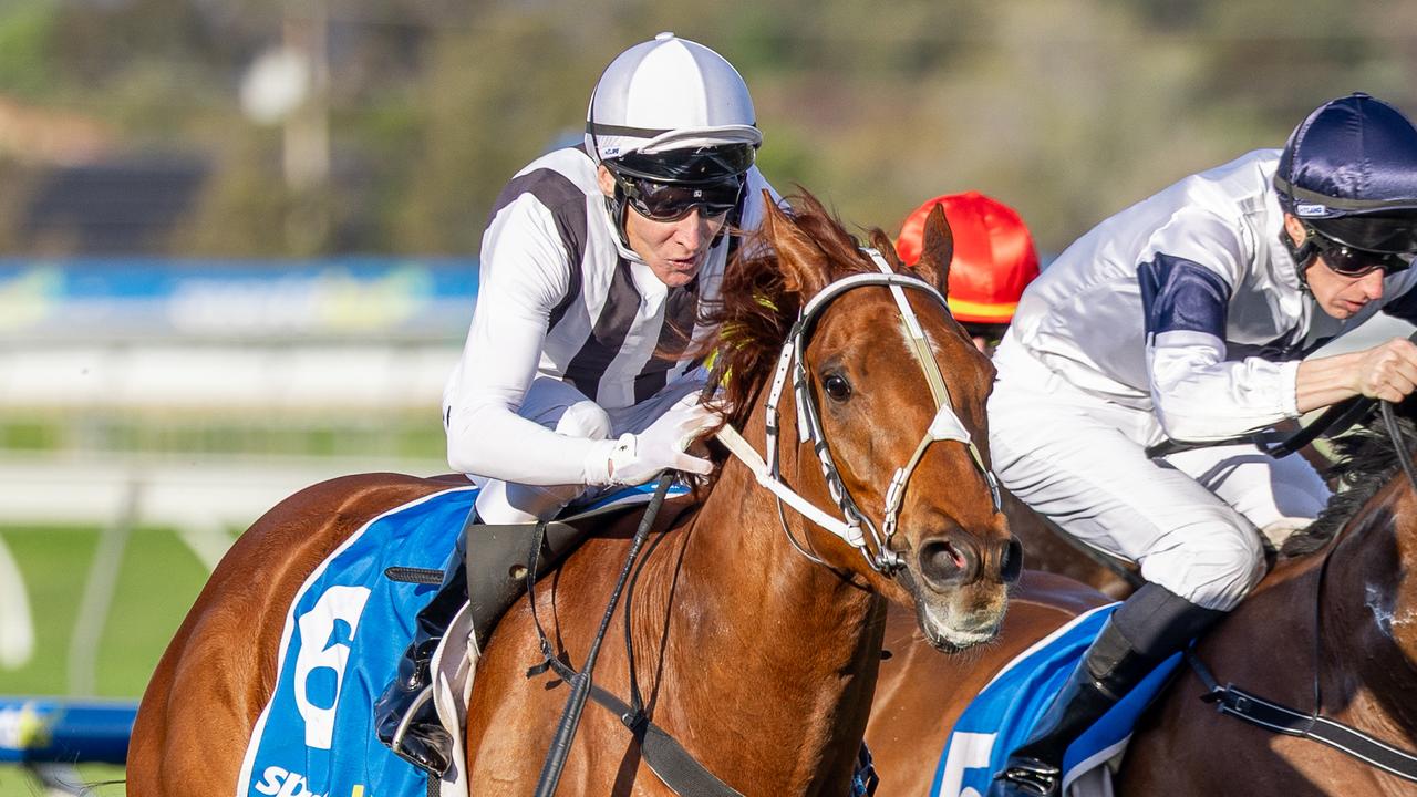 Watchme Win fires in Wylie Handicap as Victorian raid beckons