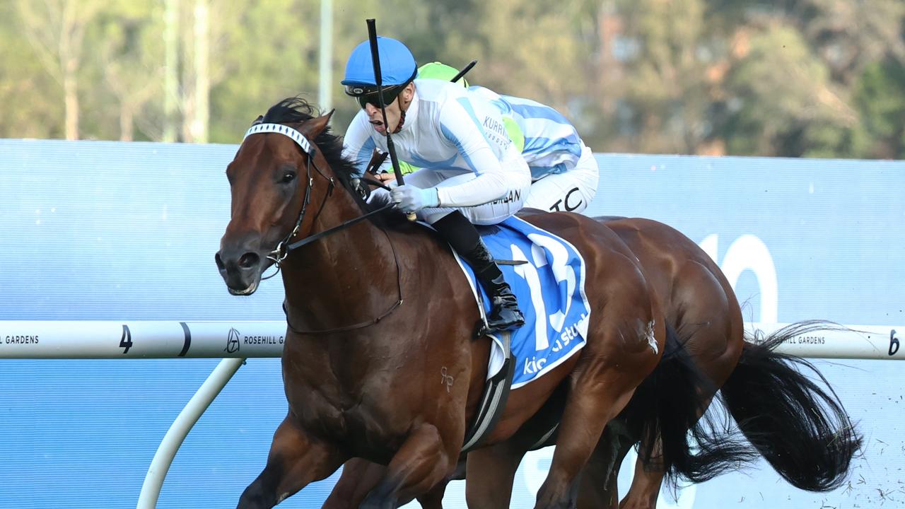 Everest and King Charles lead-ups headline huge Randwick card