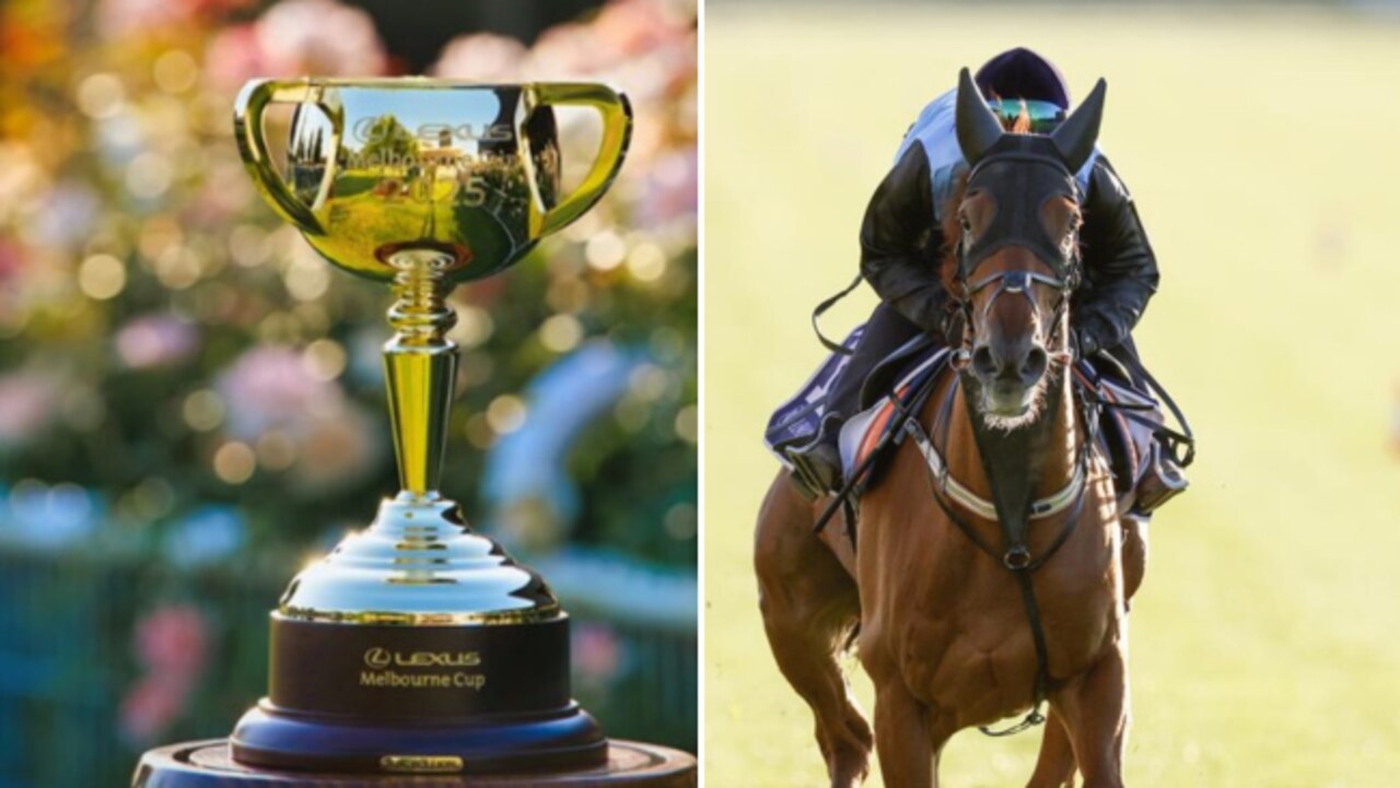 2025 Melbourne Cup Field