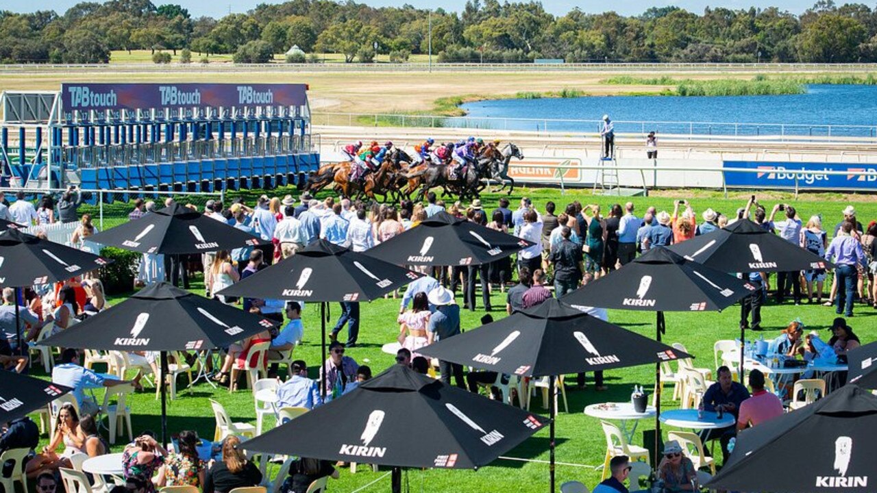 Morphettville Parks and Ascot tips: $41 roughie worth a play