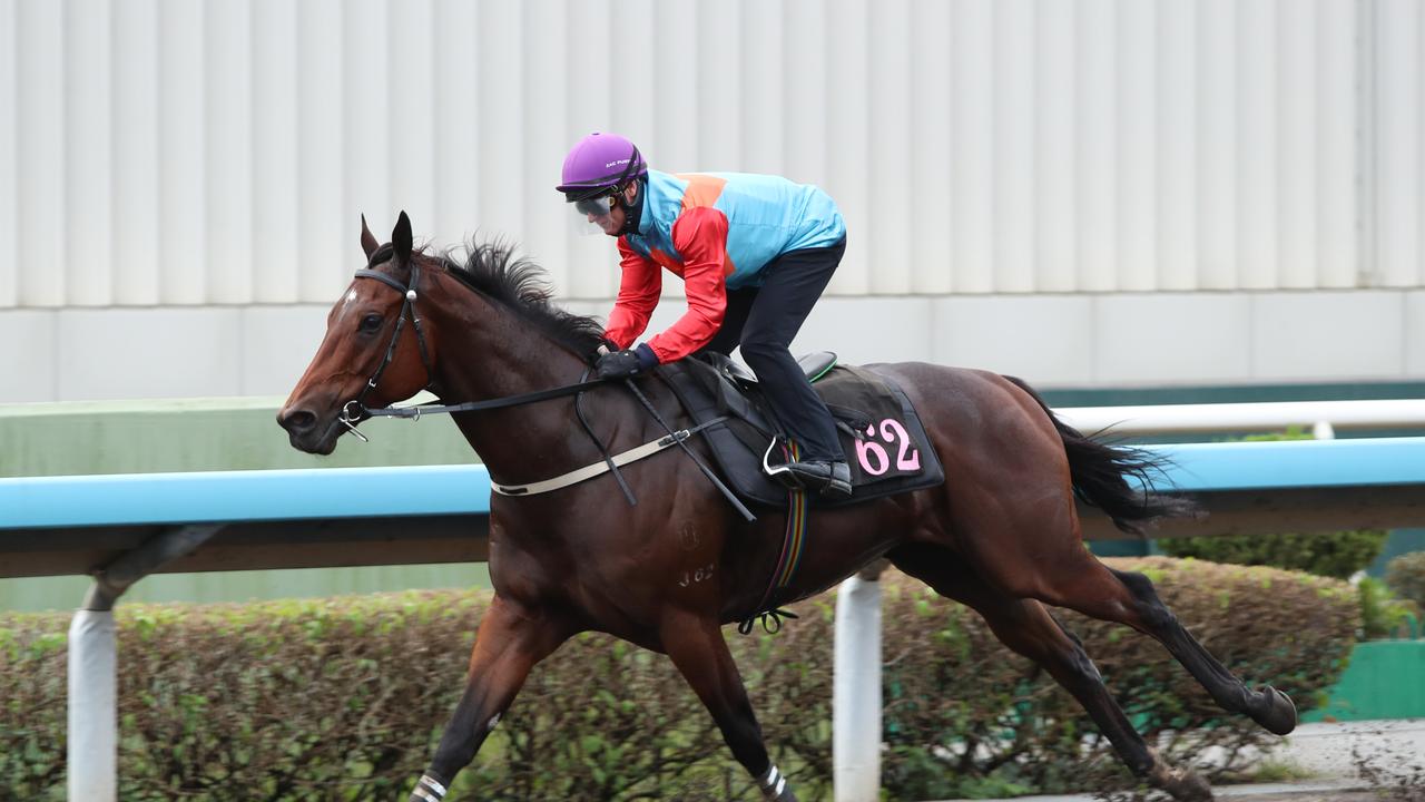 Ka Ying Rising continues on toward Hong Kong Sprint defence