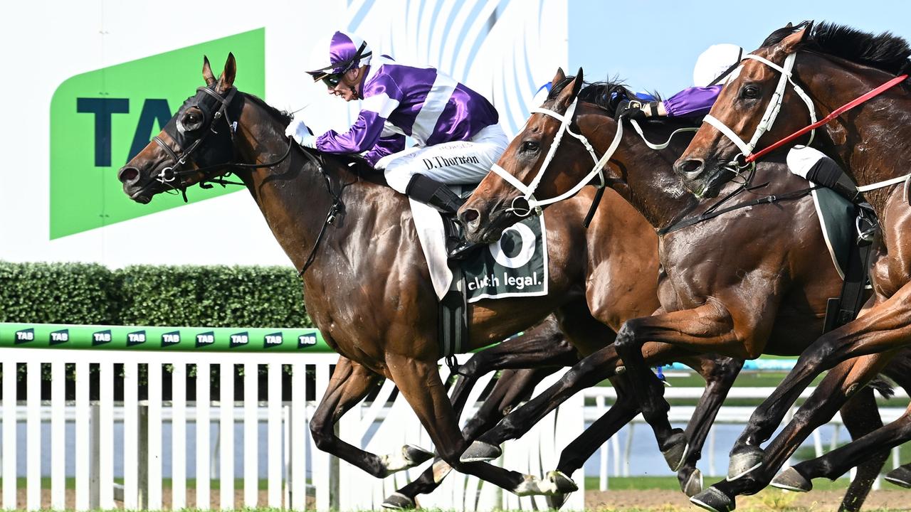 Walsh Bay defies odds in Mooloolaba Cup for sixth straight win - Racenet