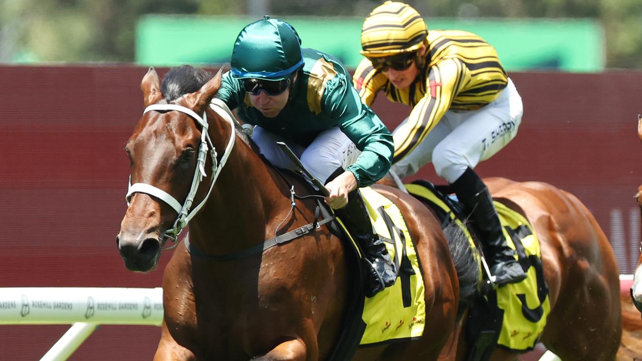 Waller's on Fire with juvenile winner at Rosehill - Racenet