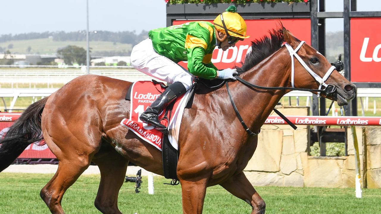 Veteran stayer Taramansour storms to Pakenham Cup upset - Racenet