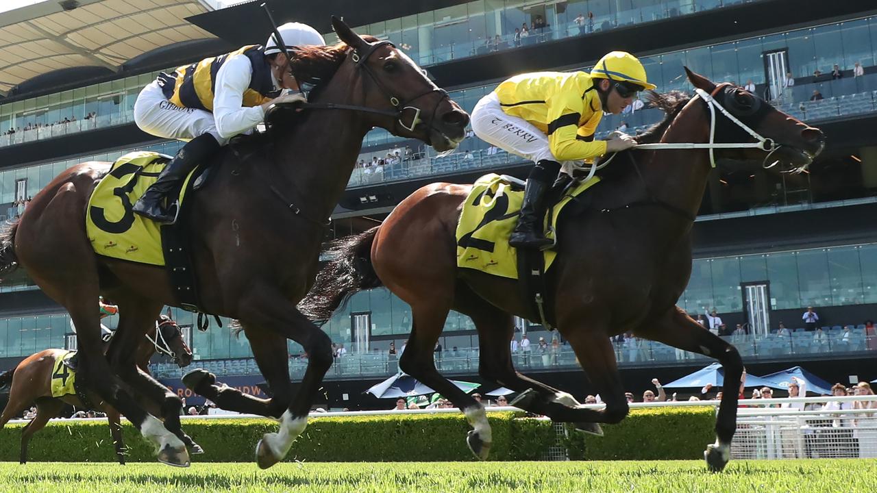 Lees eyes Newcastle Cup after Brave Call wins again - Racenet