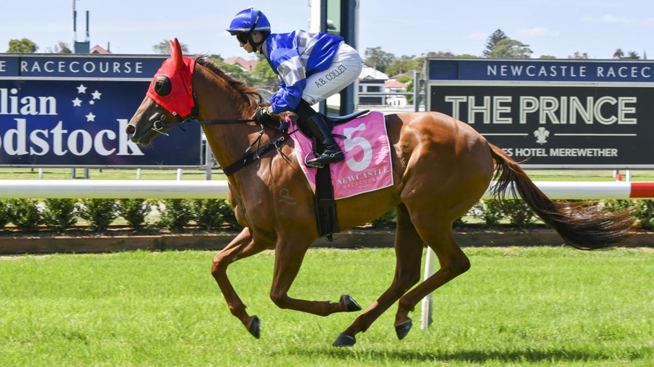 ‘He's a better version this week': Why Basil can Trounce opposition ...