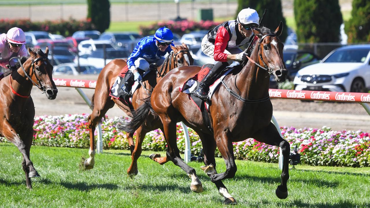 Begg's gun mare ‘prepping up beautifully' ahead of Sydney assault - Racenet