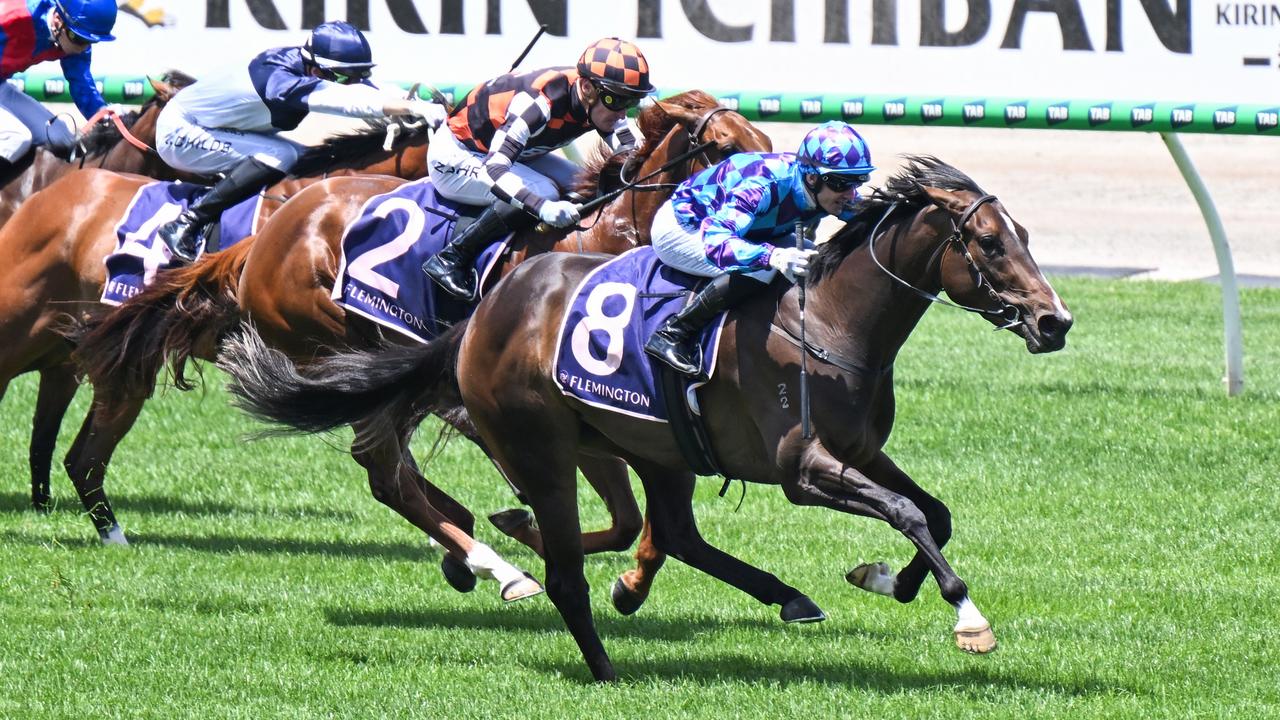 Daniel Sankey's Flemington Blackbook: January 10, 2026