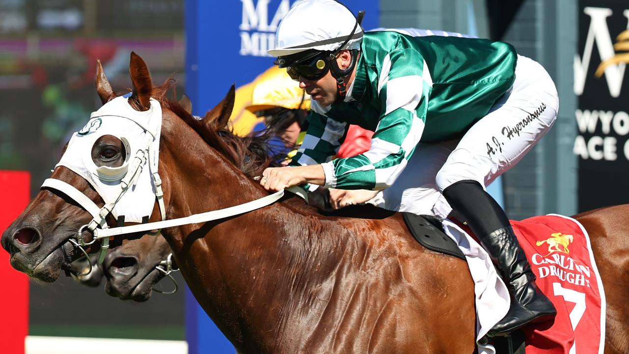 Mitch Cohen's Blackbook: Five to follow from Wyong on Saturday - Racenet