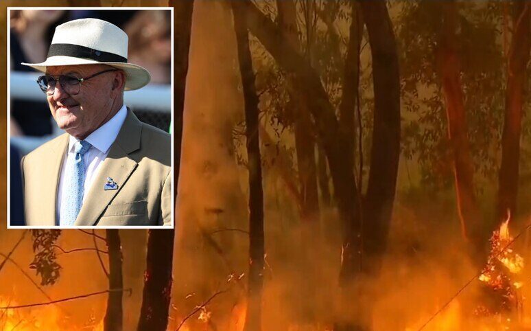 ‘Like a hurricane without rain': Hayes left shattered by Lindsay Park ...