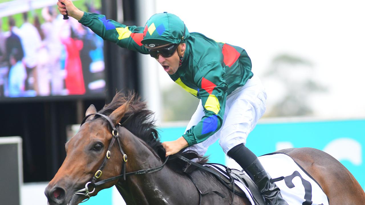 Alligator Blood court drama: Stewards set to launch fresh inquiry - Racenet