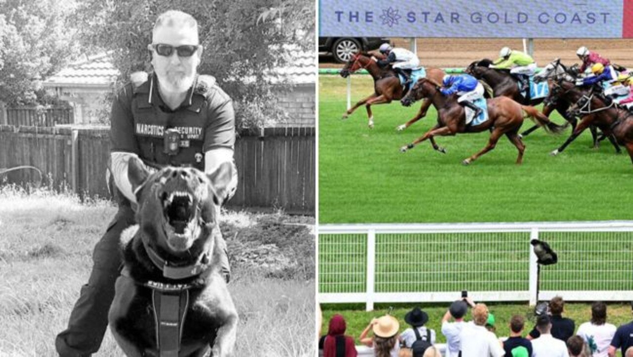 Meet the frightening attack dog that helped keep Magic Millions safe
