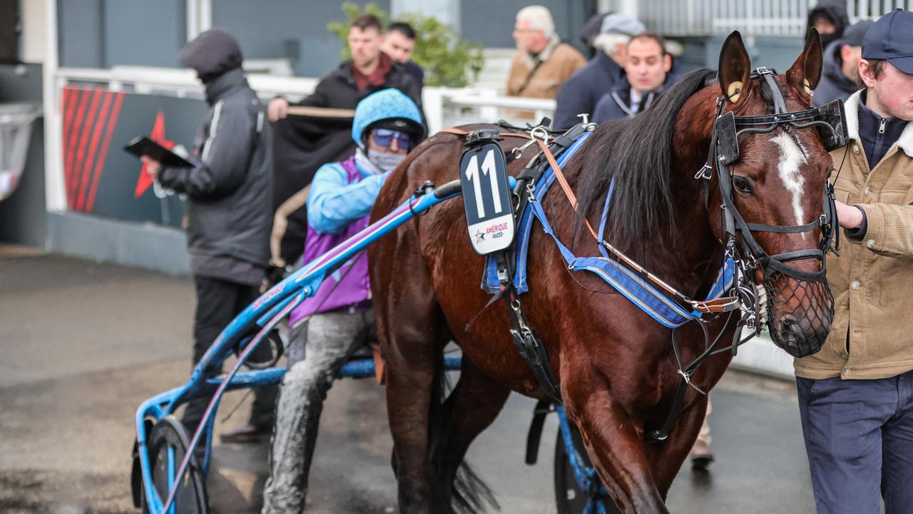 French trotting star set for Australian debut ahead of Great Southern Star