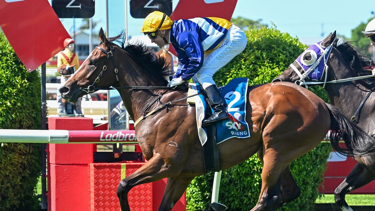 Tony Gollan plots patient path to Queensland winter carnival with ...