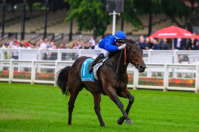 BRC Sires Produce Stakes 2025 Betting & Tips - Punters