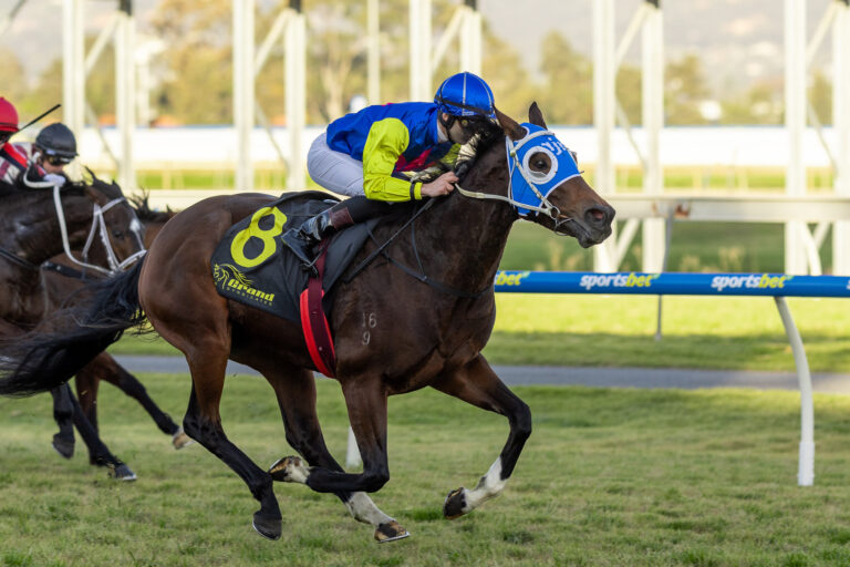 Behemoth Stakes 2025 Betting, Form Guide & Tips - Punters