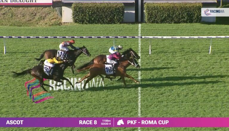 Roma Cup 2025 Betting, Form Guide & Tips - Punters