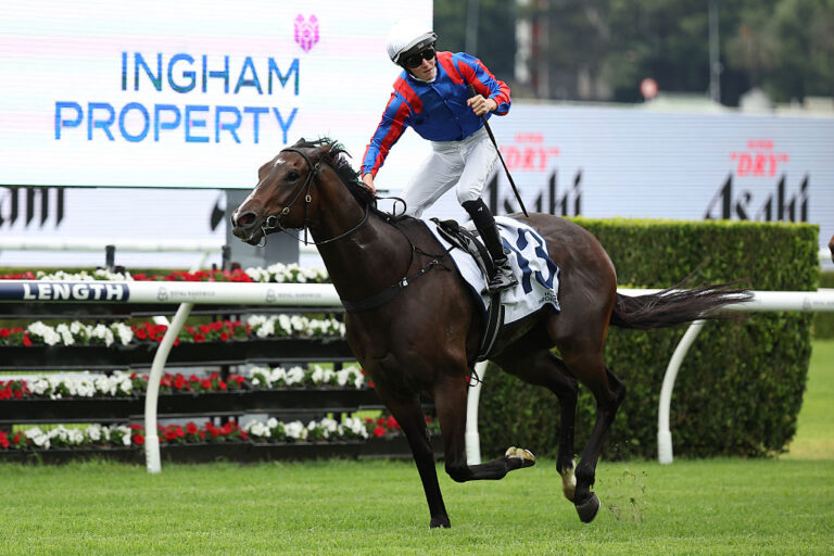 The Ingham 2026 Betting, Form Guide & Tips - Punters