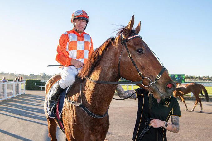 Belmont Sprint 2025 Betting, Form Guide & Tips - Punters