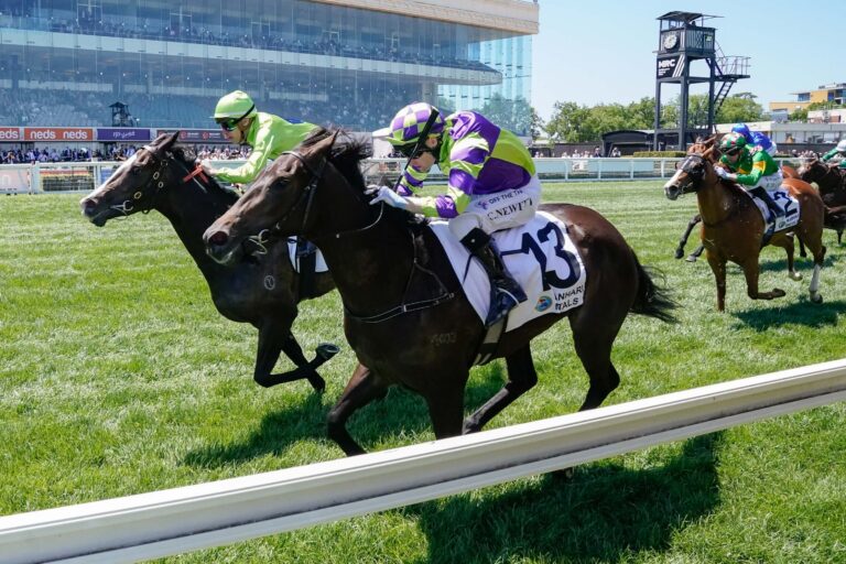 Thoroughbred Club Stakes 2024 Betting & Tips - Punters