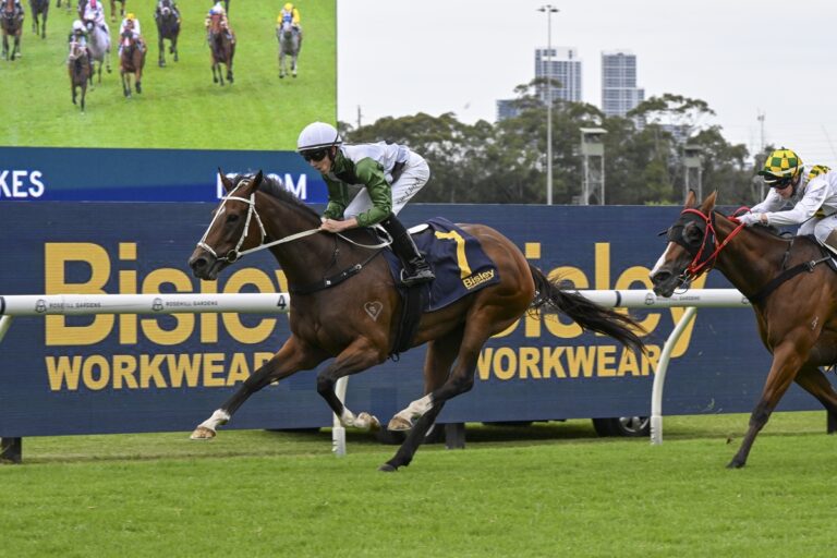 Epona Stakes 2025 Betting, Form Guide & Tips - Punters