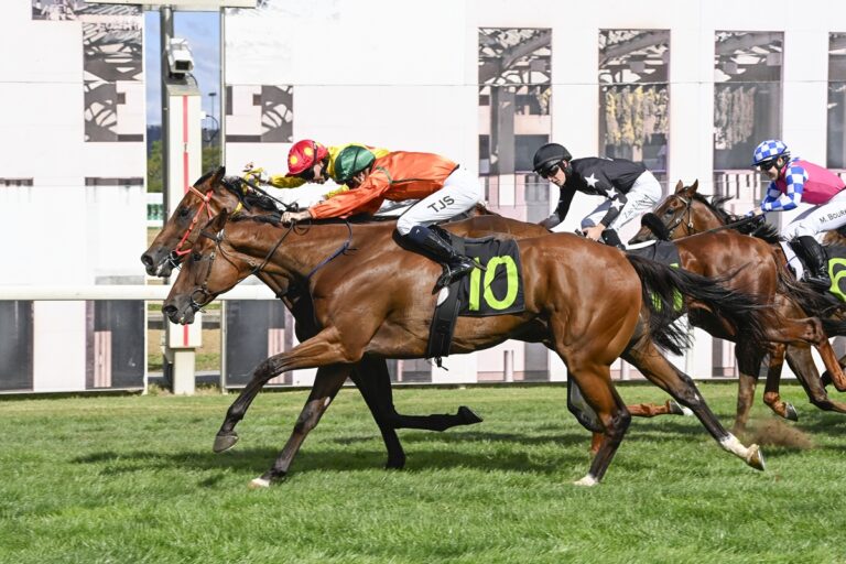National Sprint 2025 Betting, Form Guide & Tips - Punters