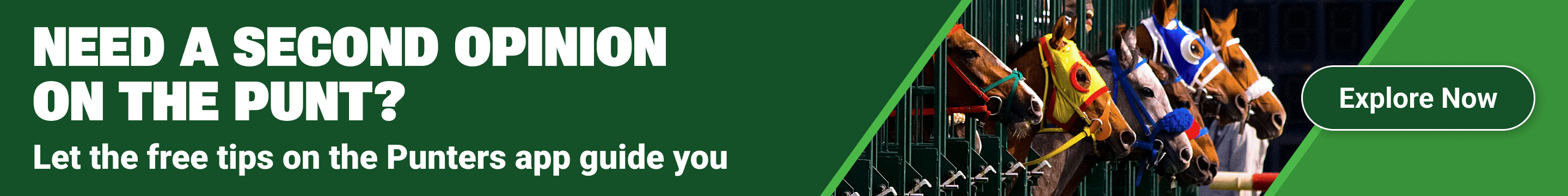 Concorde Stakes 2024 Betting, Form Guide & Tips - Punters