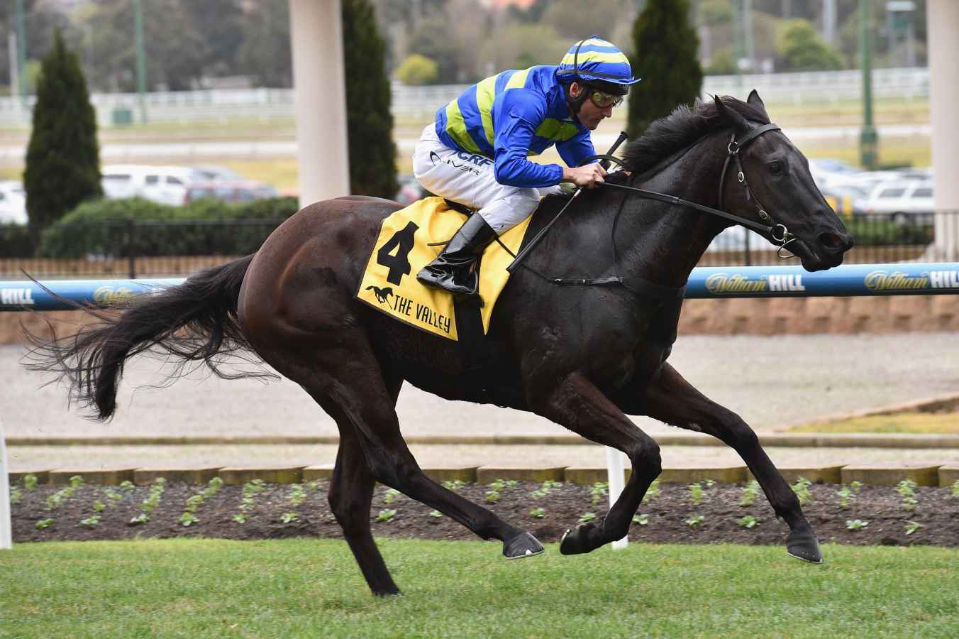 Petits Filous scores second Valley success