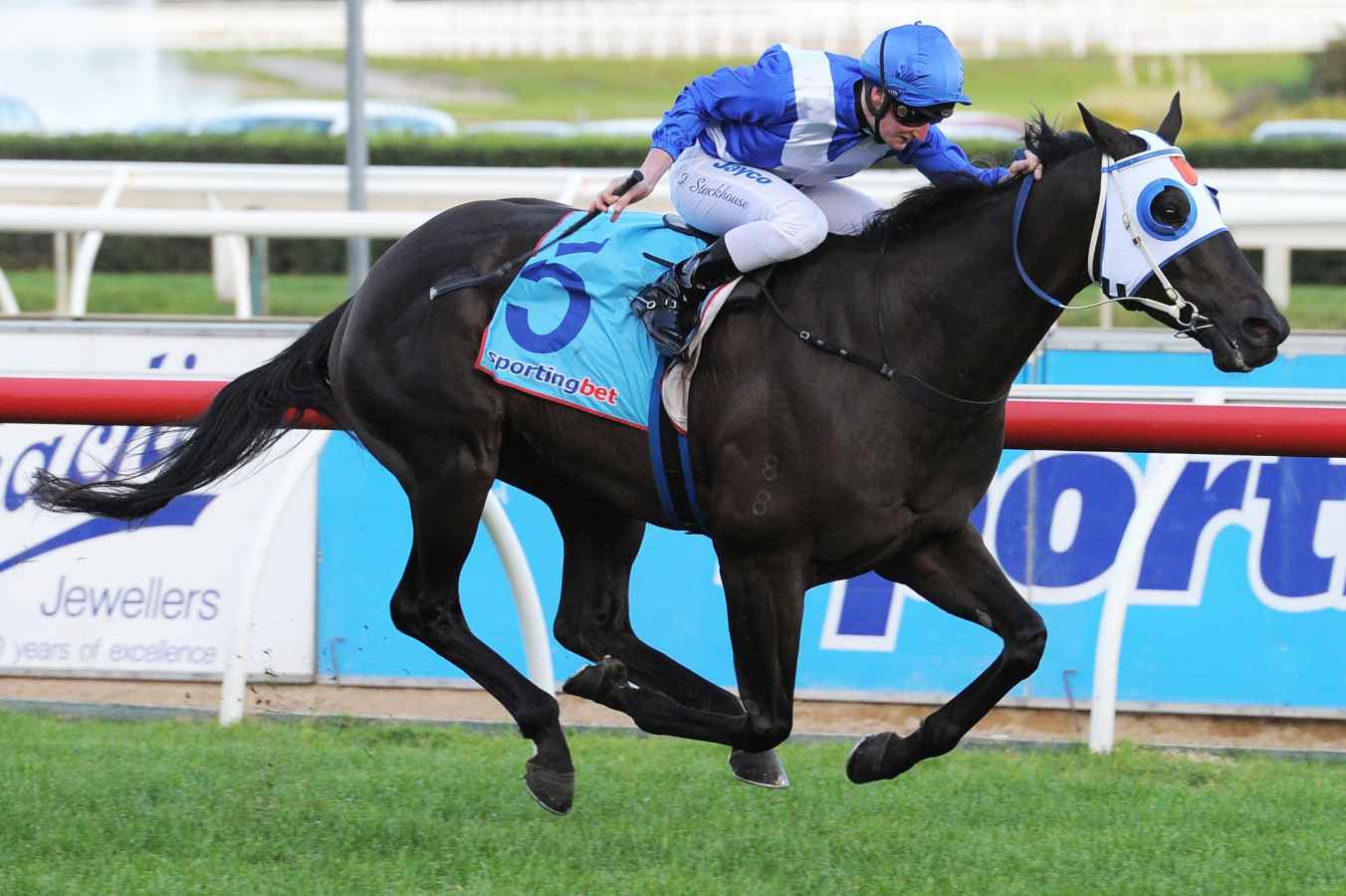 Preview and tips for the big day of stakes racing at Doomben