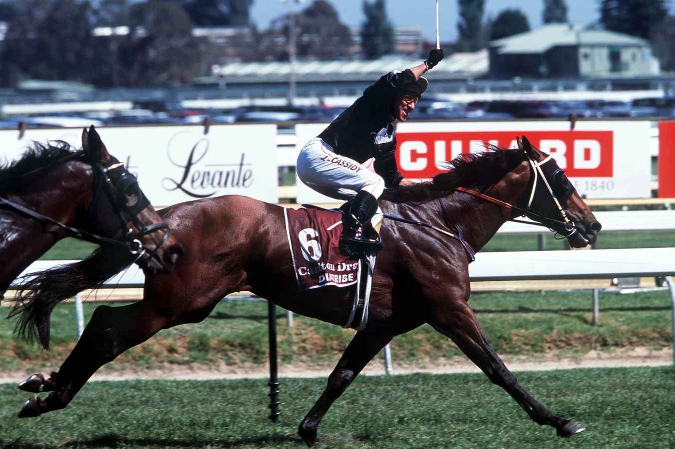 Jim Cassidy set to retire after the Flemington Carnival