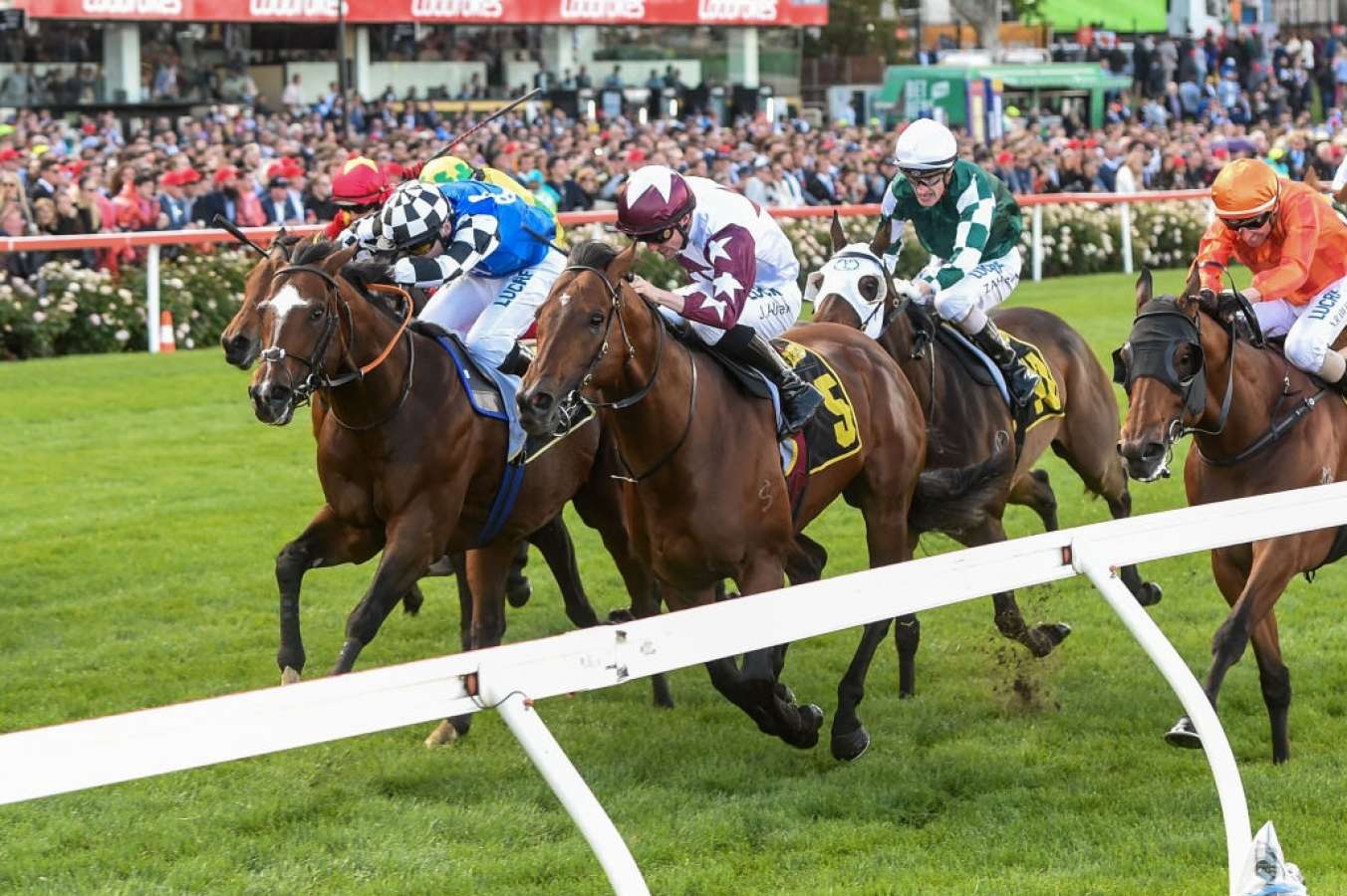 International raider Chief at The Valley with Crystal Mile win