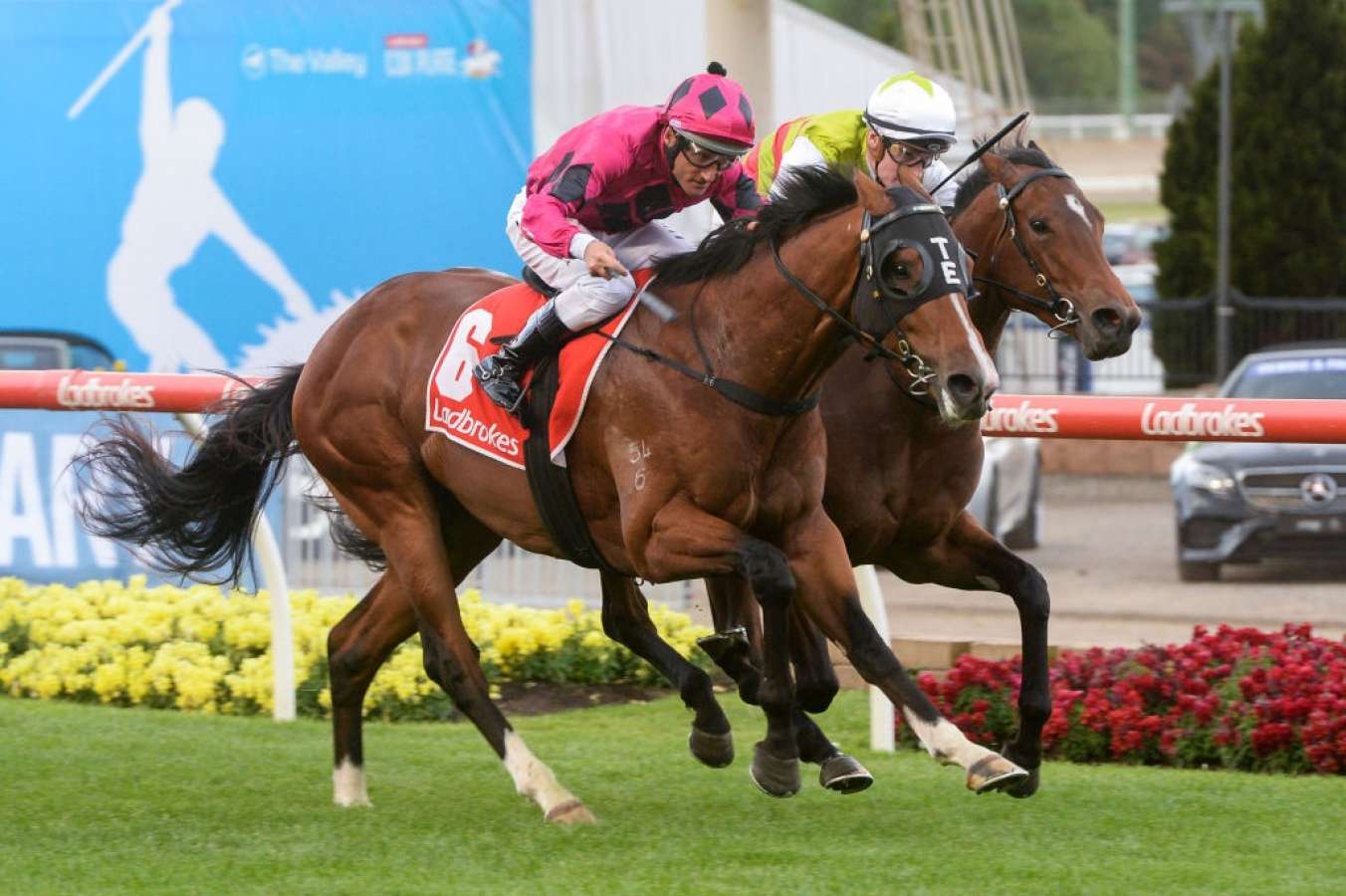Ruuca in mix for Group One sprint on Derby Day